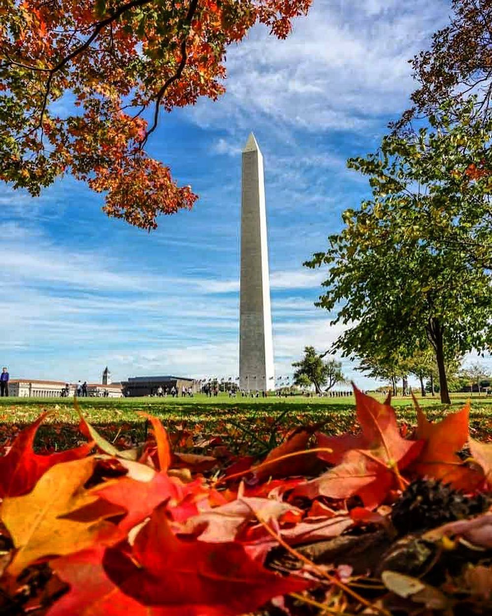 Can’t-Miss Fall Festivals & Events in Washington, DC | Washington.org