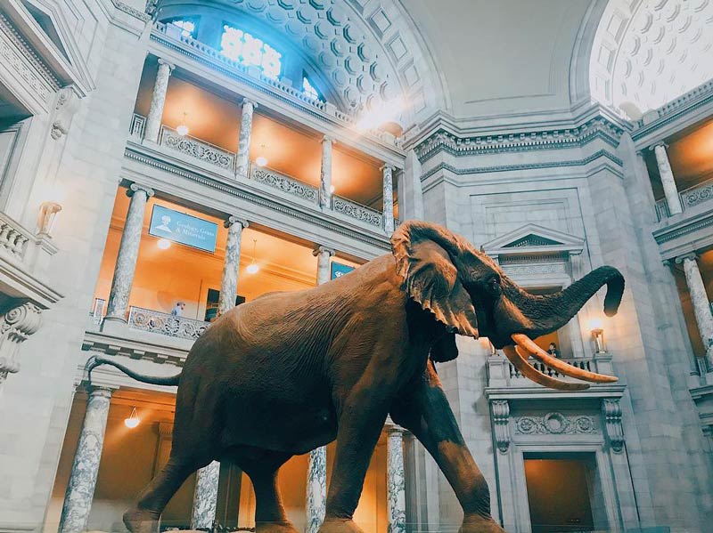 60+ Things to Do This December in Washington, DC | Washington.org