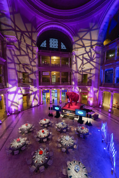 Smithsonian National Museum of Natural History Special Events ...