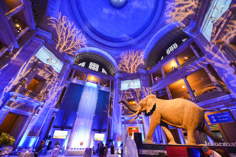 Smithsonian National Museum of Natural History Special Events ...