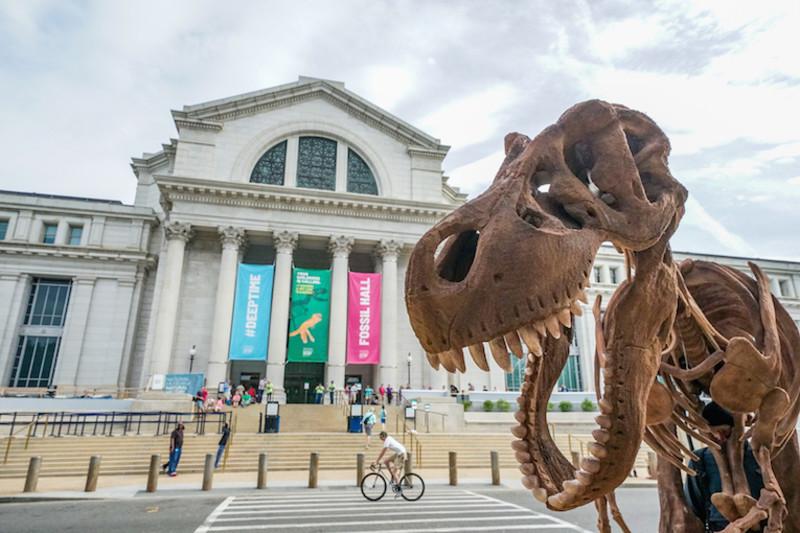 Smithsonian National Museum of Natural History Special Events ...
