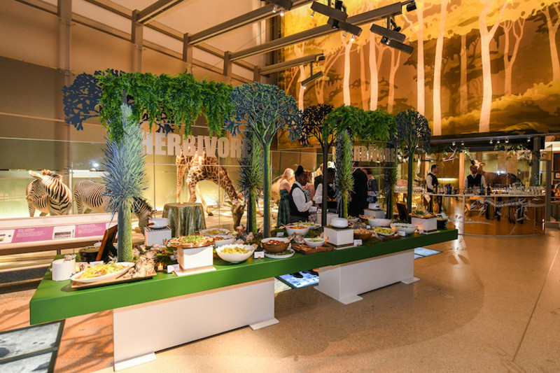 Smithsonian National Museum of Natural History Special Events ...