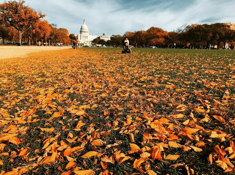 Best Places to Photograph Fall Foliage in DC | Washington.org