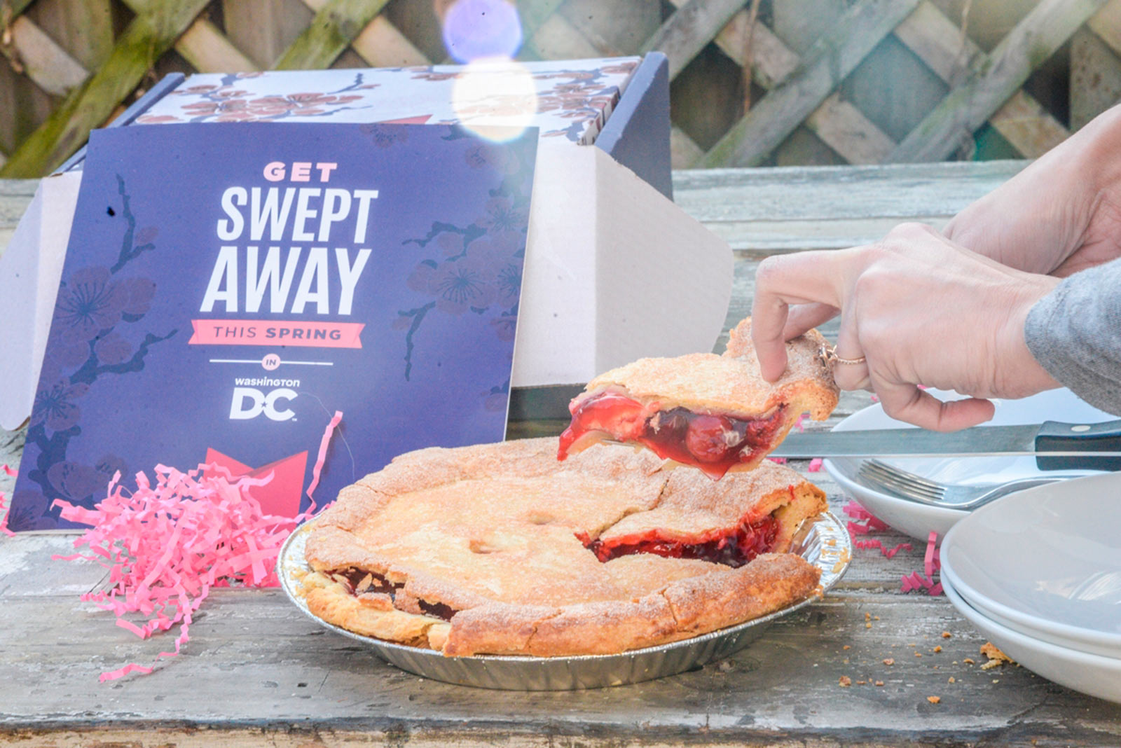 Destination DC Co-Op Opportunities | Washington.org