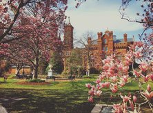 Explore the National Mall in Washington, DC | Washington.org