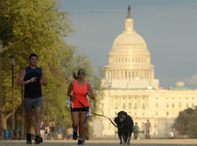 The Best Things to Do in Washington DC | Washington.org