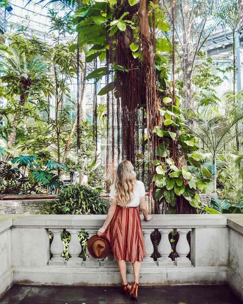 The Garden Dc Reddit Things To Do In DC This Weekend May 24 28 Jazz In The Well the-garden-dc-reddit-things-to-do-in-dc-this-weekend-may-24-28-jazz-in-the-well