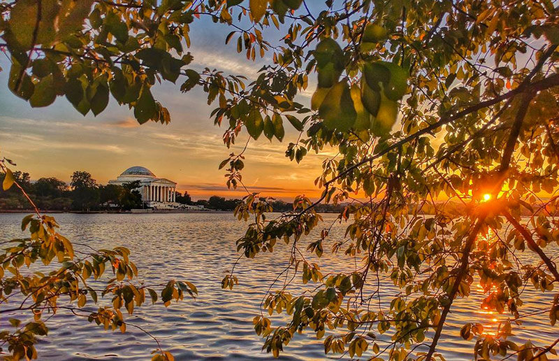 The Best Things to Do This Fall in DC | Washington.org