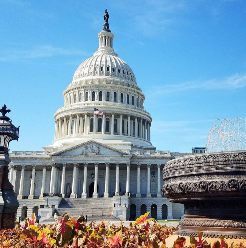 The Best Things to Do This Fall in DC | Washington.org