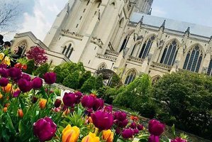 Upper Northwest Neighborhood in DC | Washington.org