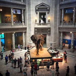 Visiting the National Museum of Natural History | Washington.org