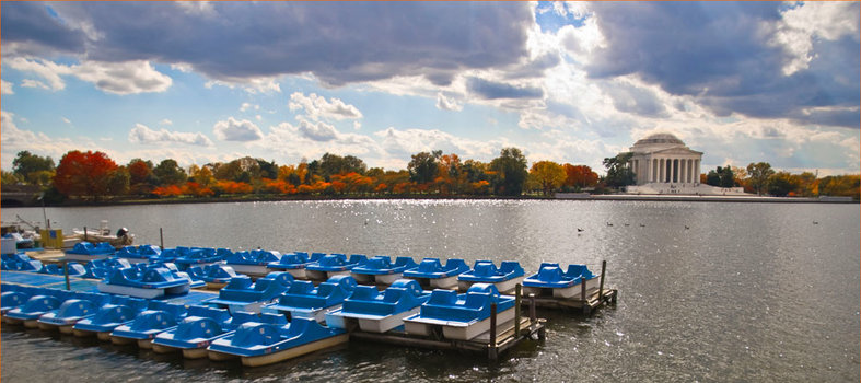 10 Ways to Make the Most of Fall in Washington, DC | Washington.org