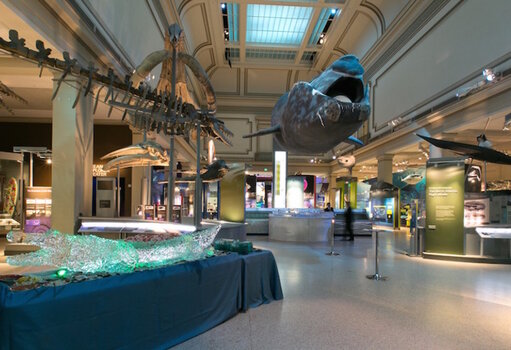 Smithsonian National Museum of Natural History Special Events ...