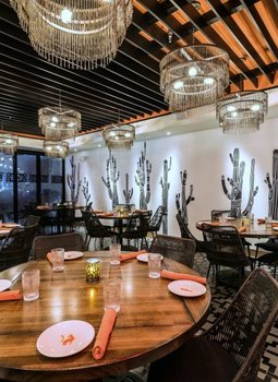 Mi Vida | Washington.org