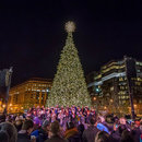 The Best Holiday Light Displays & Events in Washington, DC