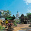 Top 10 Running Spots & Trails in Washington, DC | Washington.org