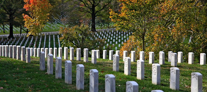 Paying Tribute: Veterans Day in Washington, DC | Washington.org